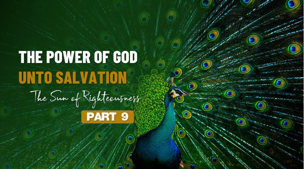 CREATION AND REDEMPTION - Watch Ye Therefore